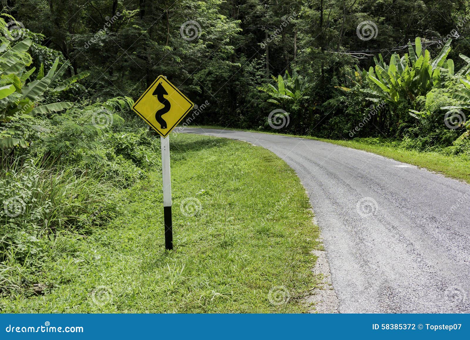 Curve Warning Sign Along Small Road Stock Photo - Image of forest ...