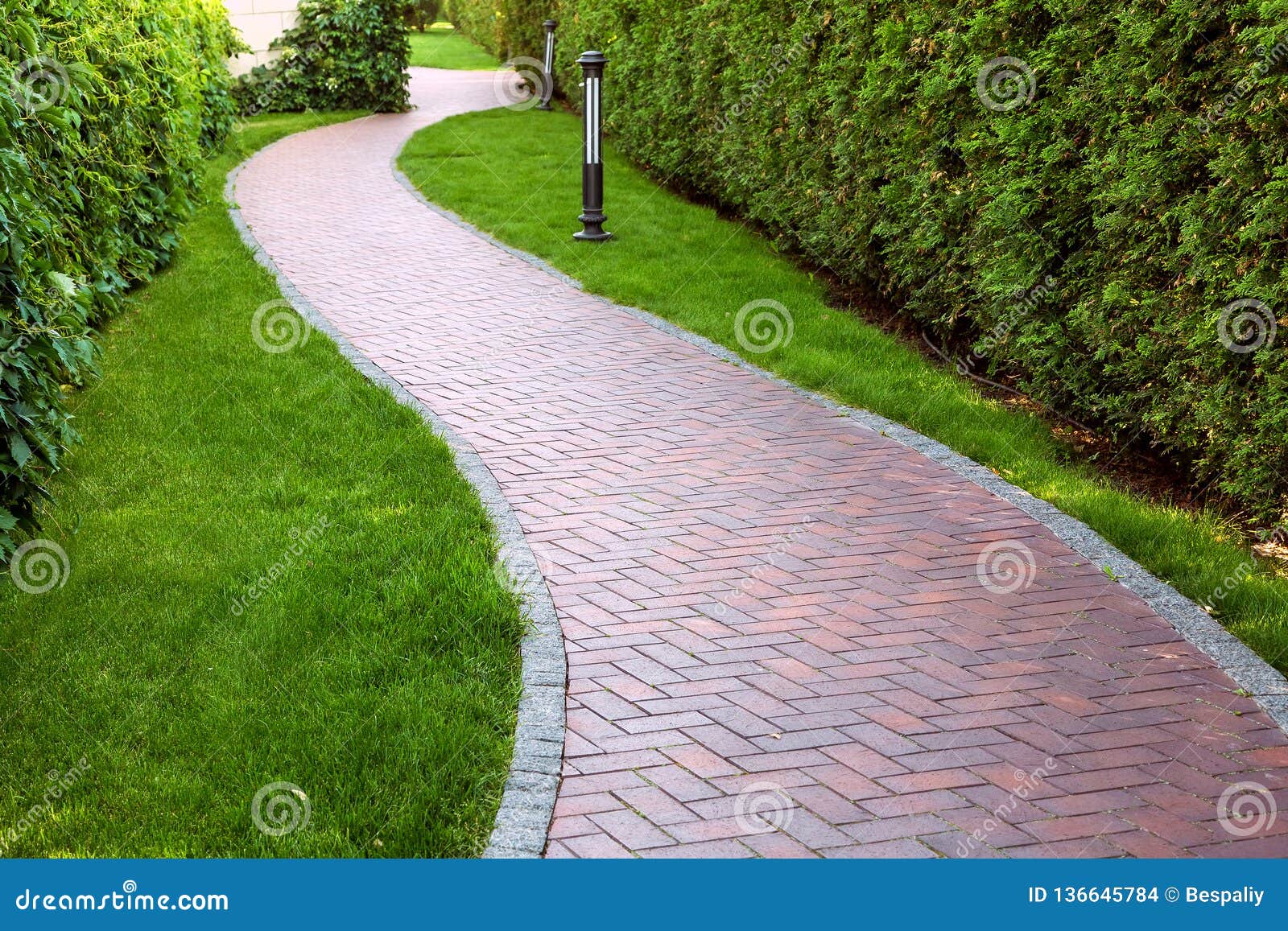 Curve Wavy Path for Walking in the Backyard. Stock Photo - Image of ...