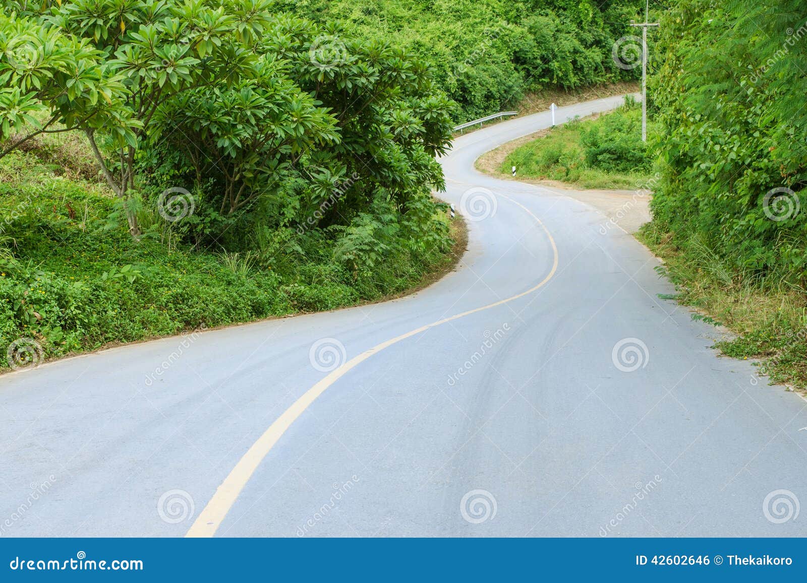 Curve way stock photo. Image of turns, forest, mountains - 42602646