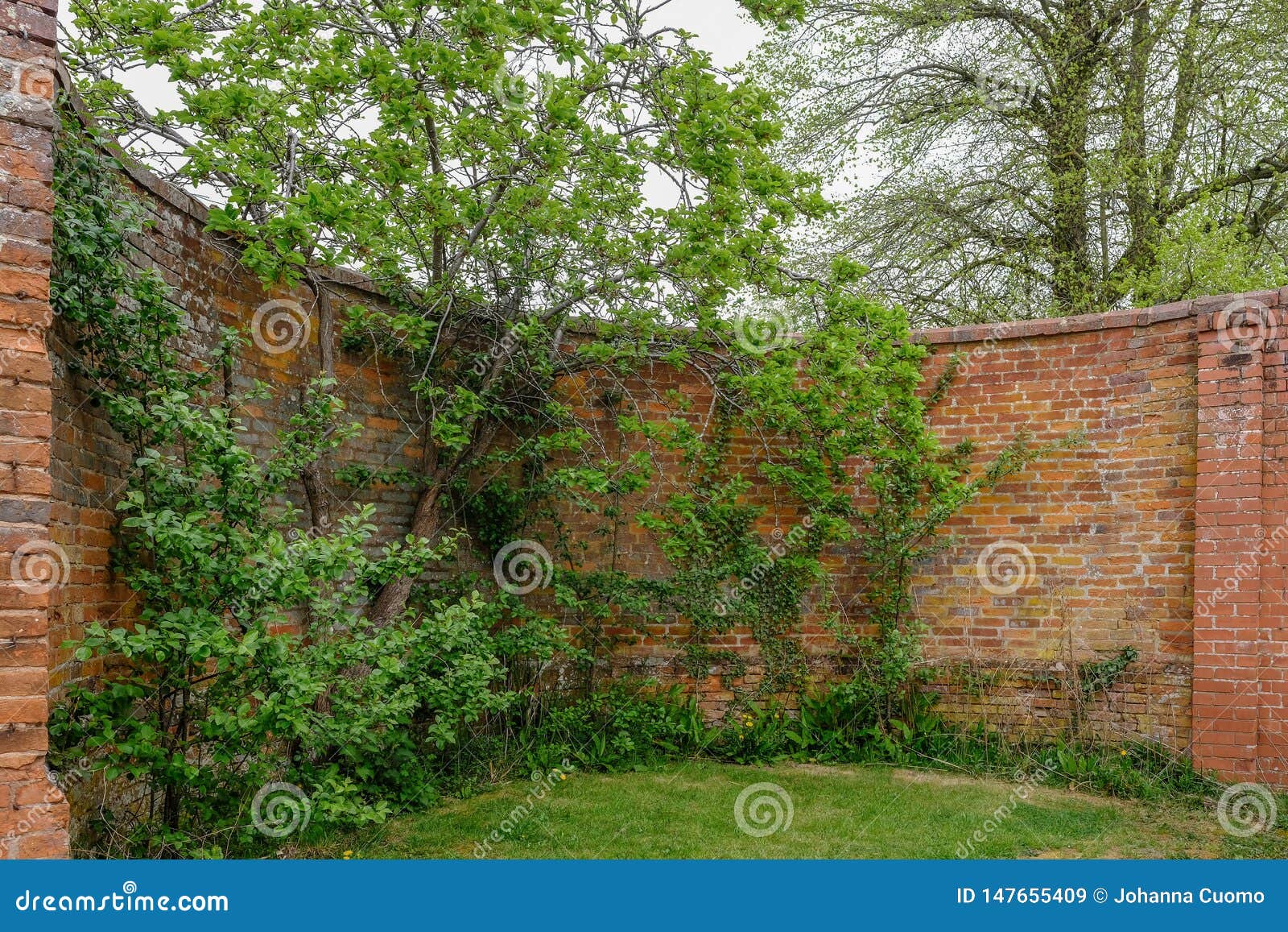 Curved Ancient Red Brick Wall with Trees and Shrubs Growing beside it ...