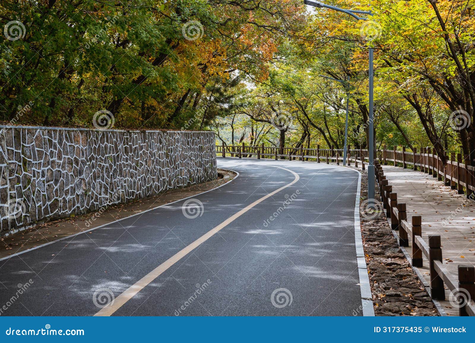 A Curved Asphalt Road through a Park with Benches and Lamp Posts Stock ...