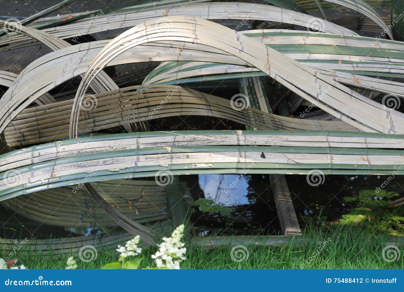 The curved bamboo bark stock photo. Image of outdoor - 75488412