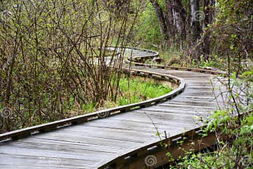 Curved boardwalk stock photo. Image of boardwalk, walk - 53196348