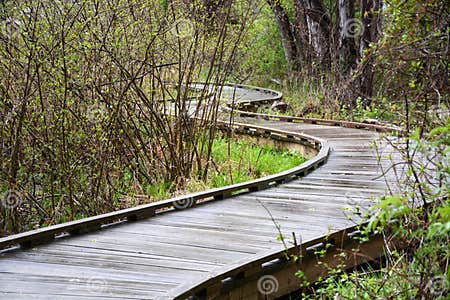 Curved boardwalk stock photo. Image of boardwalk, walk - 53196348