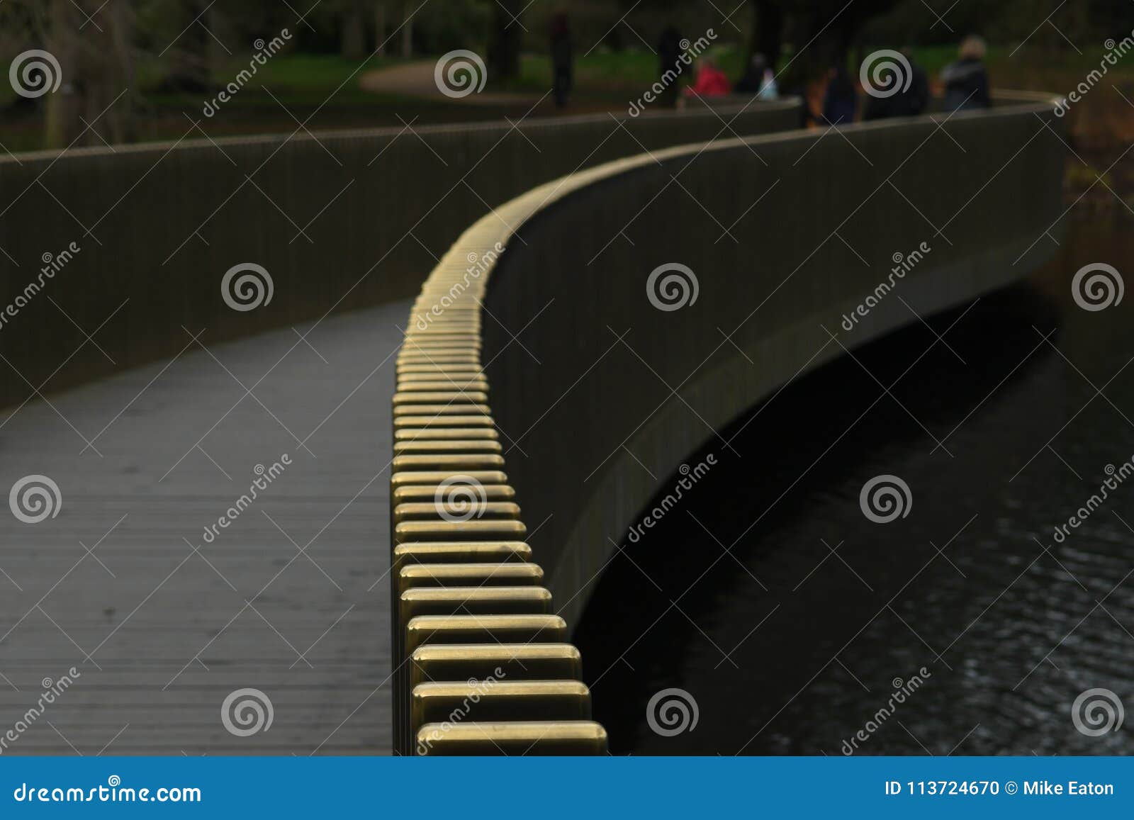 Curved Bridge over Lake stock photo. Image of curved - 113724670