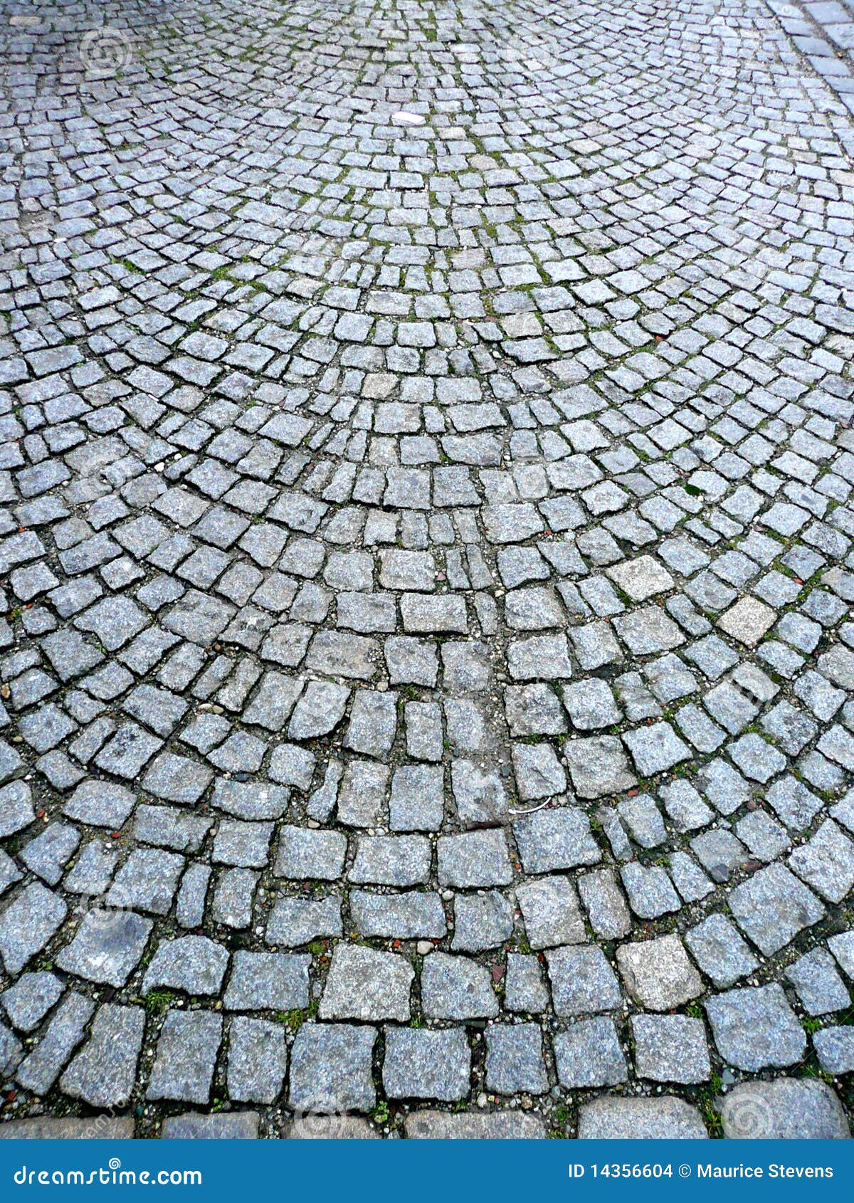 Curved Cobbles stock photo. Image of rock, stone, pattern - 14356604
