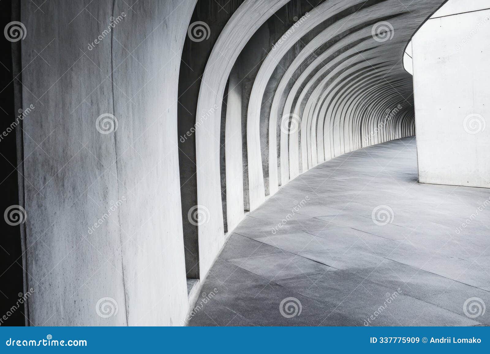Curved Concrete Pathway with Arcs and Smooth Lines in a Modern ...