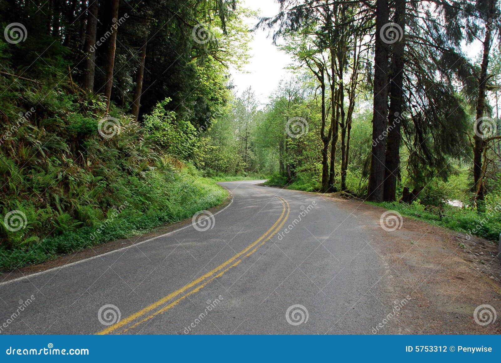 Curved country road stock photo. Image of serenity, rural - 5753312