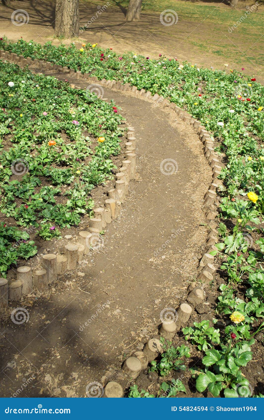 Curved dirt trail stock photo. Image of color, colorful - 54824594