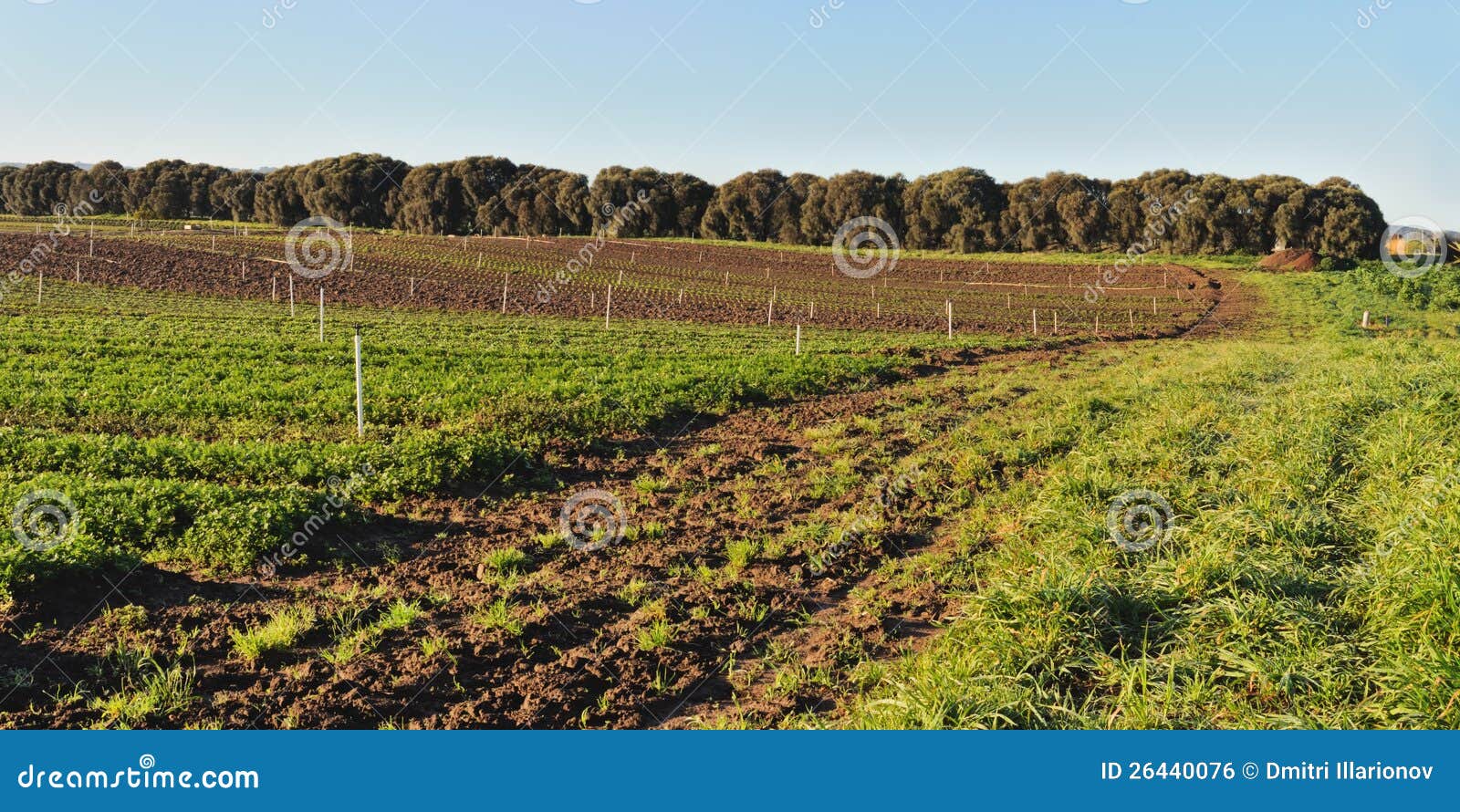 Curved edge of field stock photo. Image of scenery, lush - 26440076