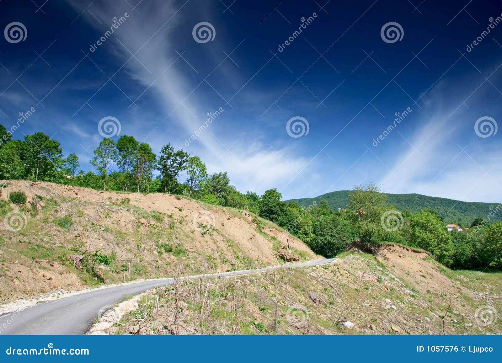 Curved Empty Road and Greenery Stock Photo - Image of passage, asphalt ...