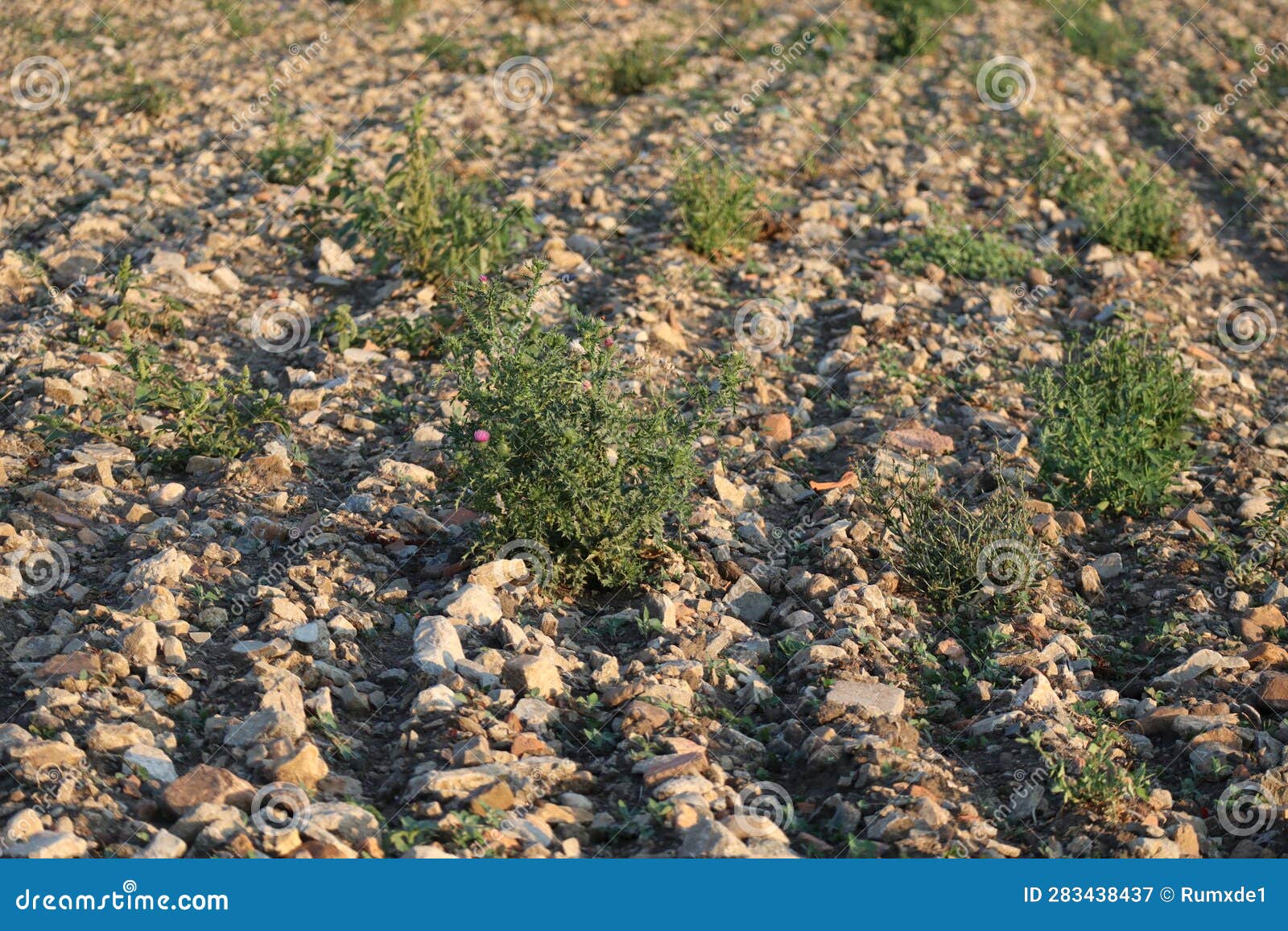 Furrows stock image. Image of agriculture, geology, field - 283438437