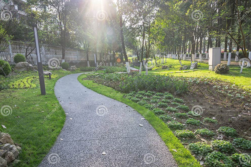 Curved garden path in park stock image. Image of cobble - 312986891