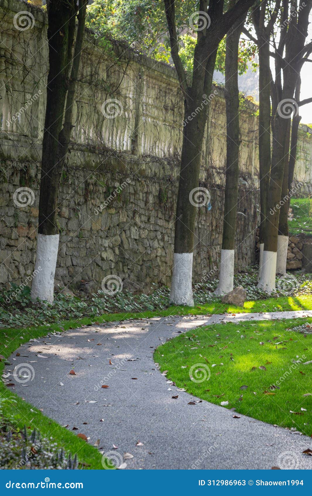 Curved garden path in park stock image. Image of bloom - 312986963