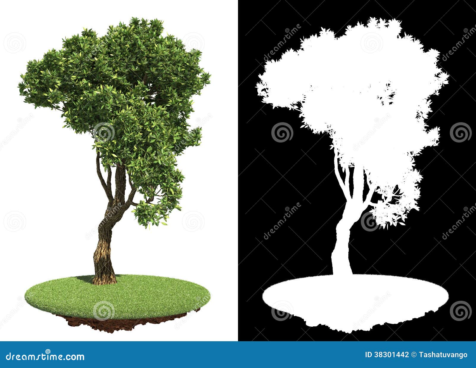 Curved Green Tree on White Background. Stock Illustration ...