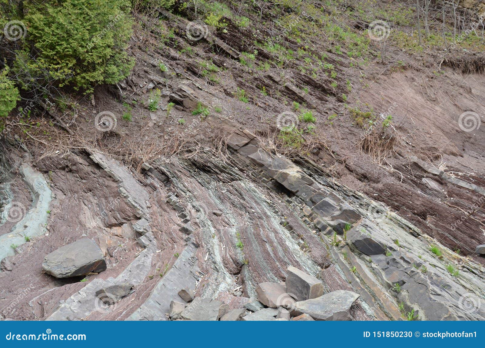 Curved Grey and Red Rock Layers or Strata on Hill Stock Photo - Image ...