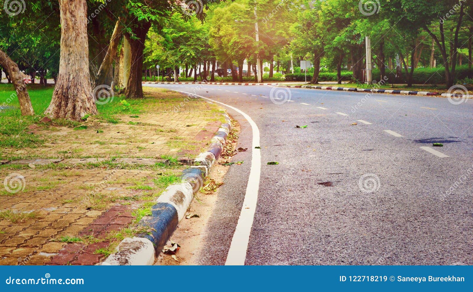 Curved Grunge Road with Tree Stock Image - Image of walk, curved: 122718219