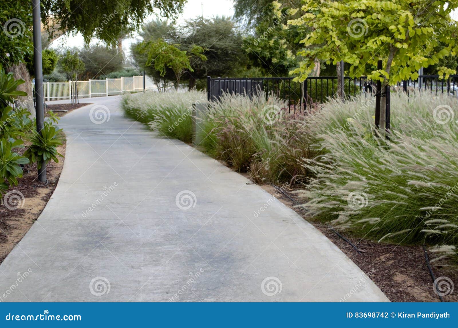 Curved Jogging Walkway in Park Stock Photo - Image of jogging, walkway ...