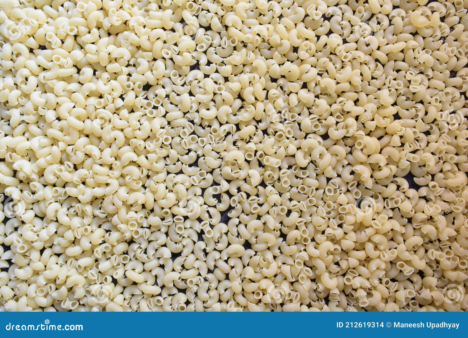 Curved Macaroni stock photo. Image of italian, italy - 212619314