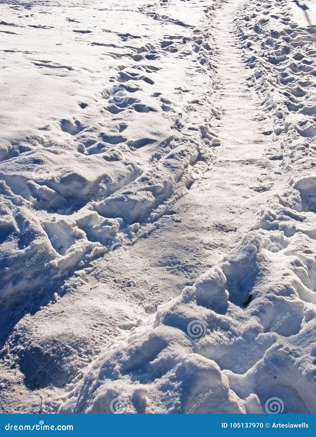 Curved natural snow path stock photo. Image of winter - 105137970