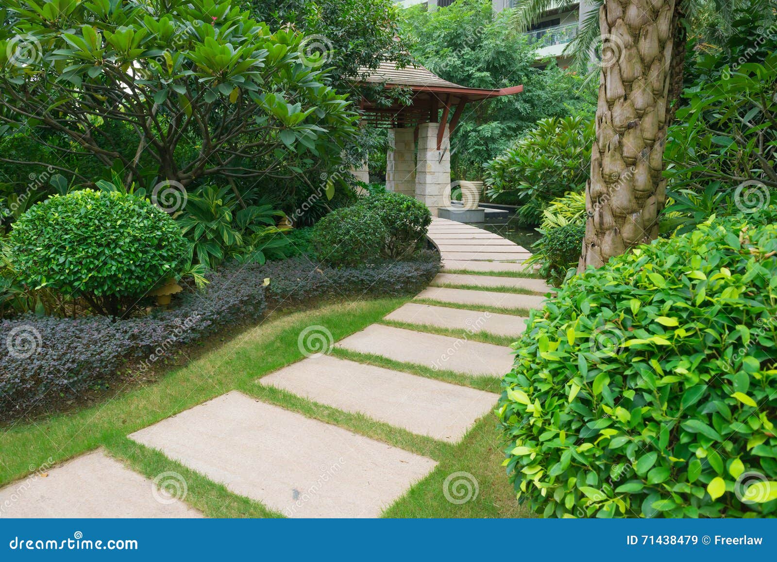 Curved outdoor pathway stock image. Image of pathway - 71438479