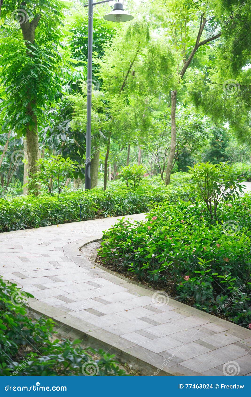 Curved Outdoor Pathway In Park Royalty-Free Stock Image | CartoonDealer ...