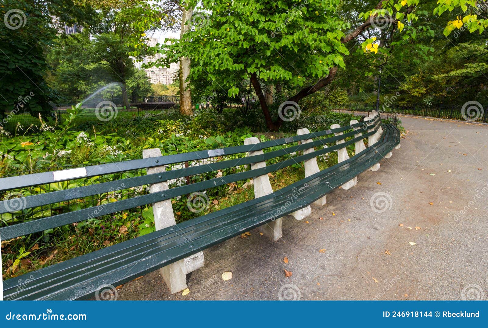 Curved Park Bench in Central Park Stock Photo - Image of urban ...
