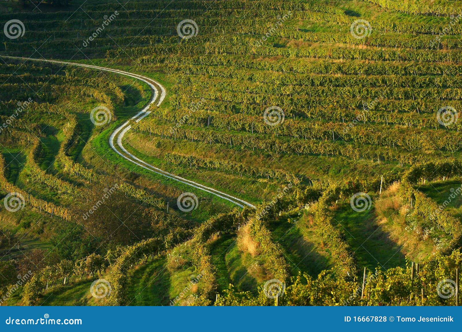 Curved path stock photo. Image of scenic, landscape, line - 16667828