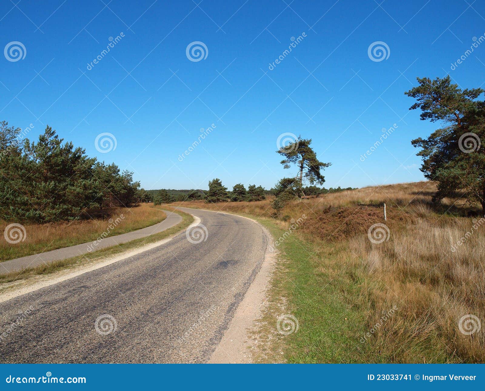 The curved path stock image. Image of drive, summer, road - 23033741