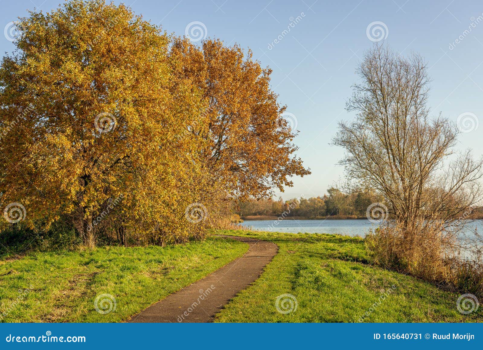 Curved path next to a lake stock image. Image of orange - 165640731