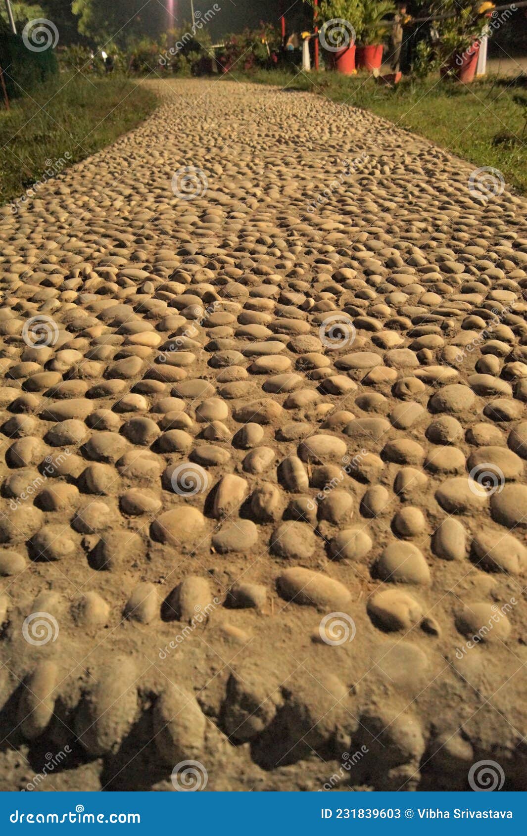 A Curved Path with Round Stones in Brown Set in Patterns. Stock Image ...