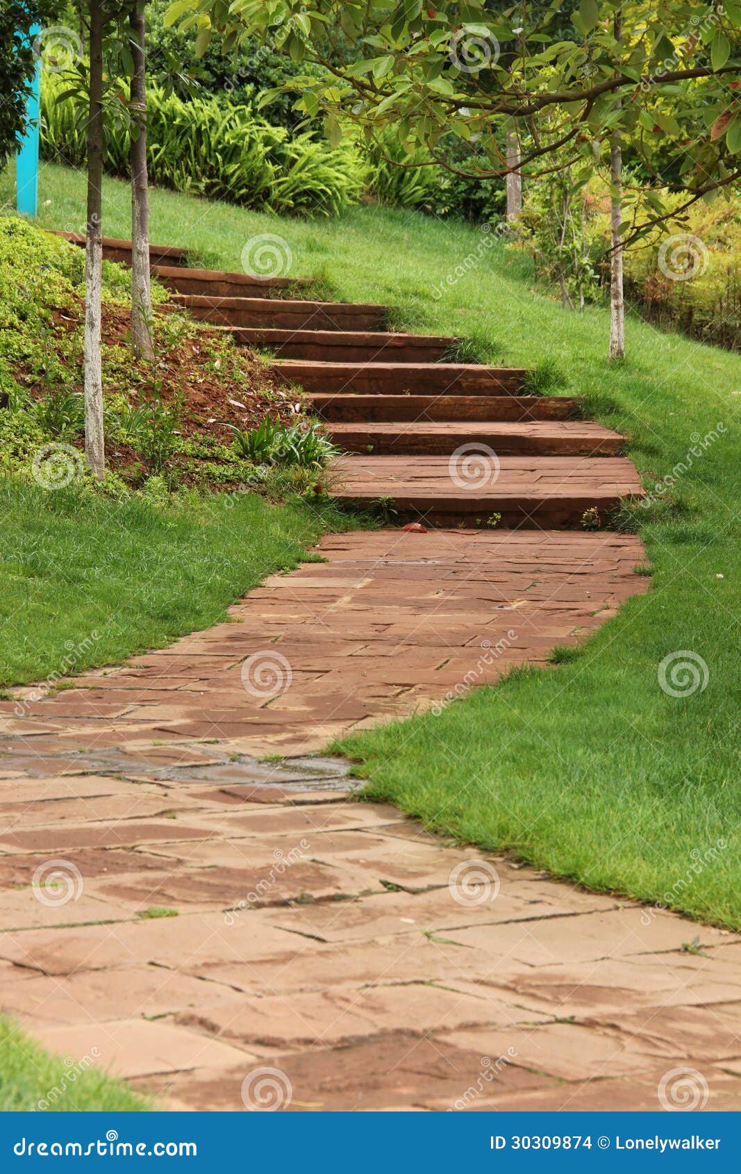 Curved Stone Path stock photo. Image of animal, scene - 30309874