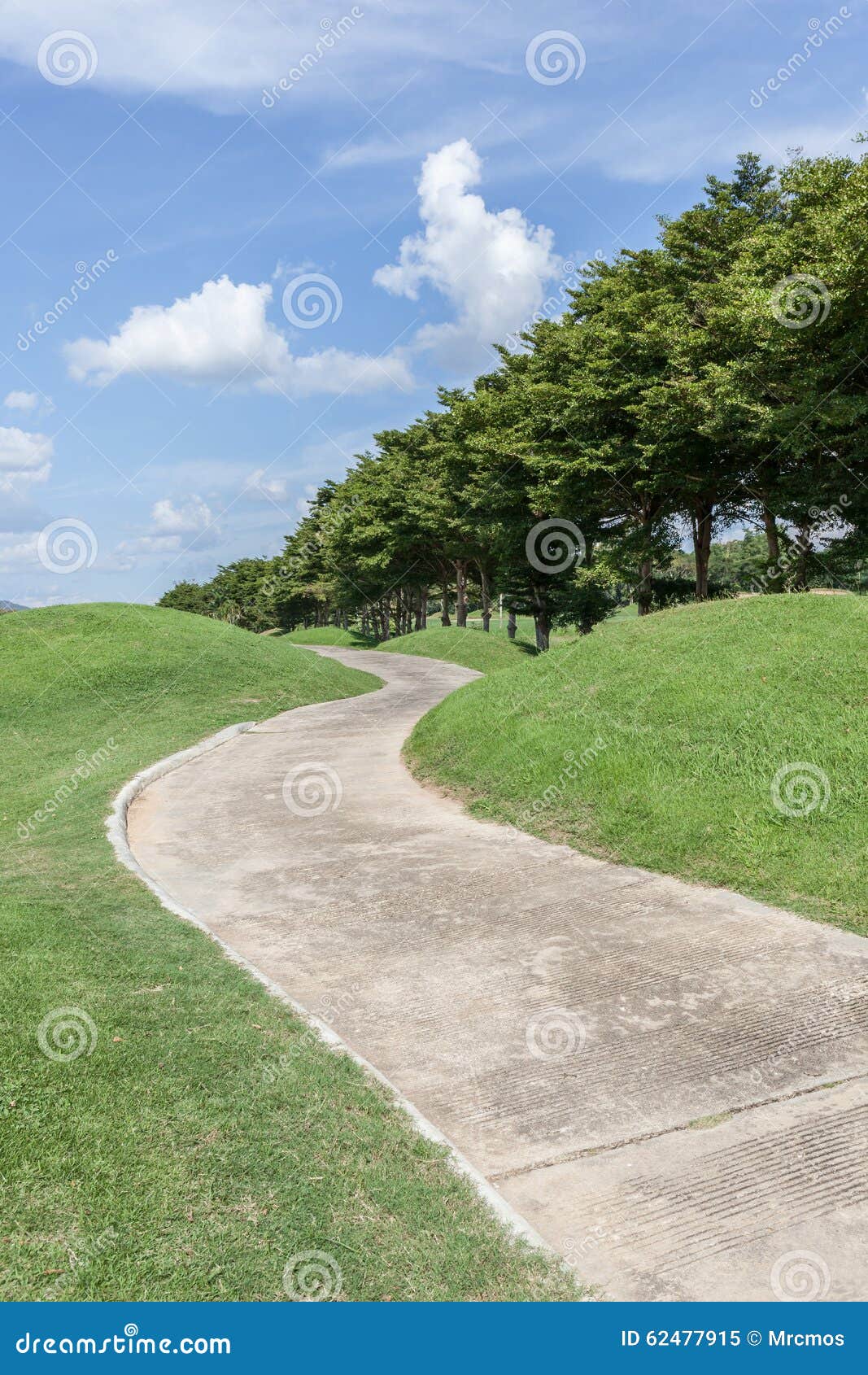 The Curved Pathway Green Golf Course and Beautiful Nature Scene. Stock ...