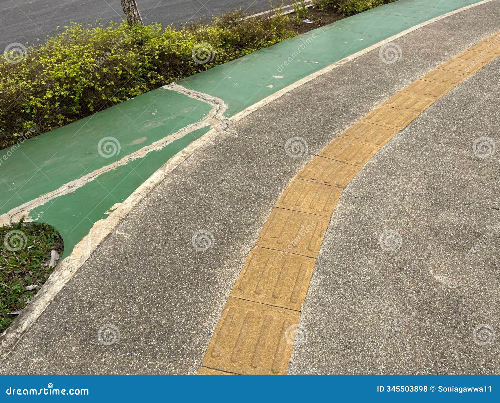 A Curved Pathway with Textured Tiles for Accessibility and Greenery ...