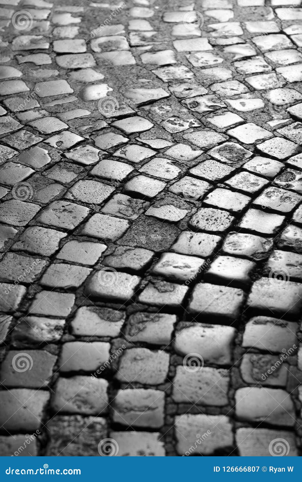 A Curved Pattern of Cobblestones on a Street Stock Image - Image of ...