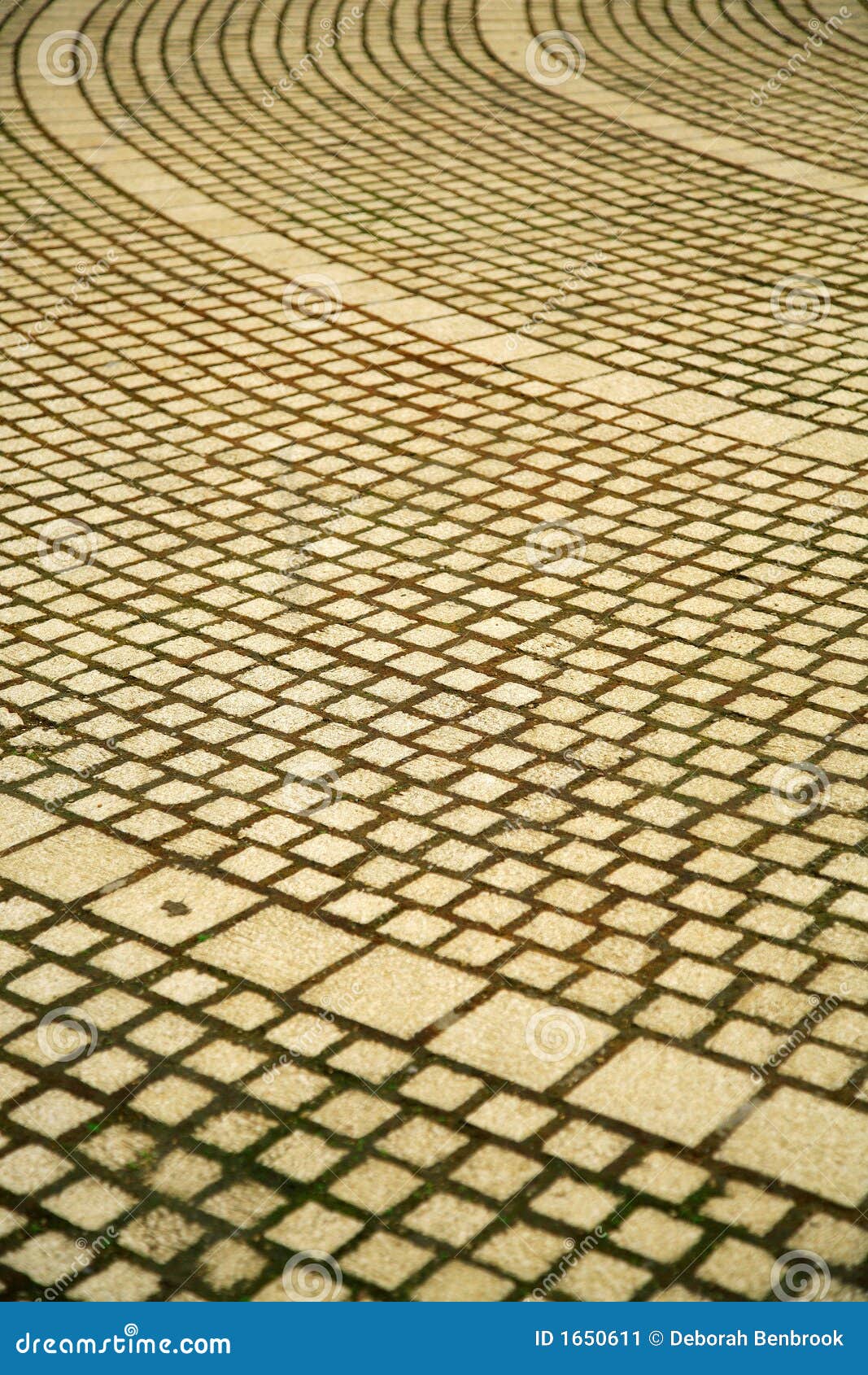 Curved paving stock image. Image of city, street, lines - 1650611
