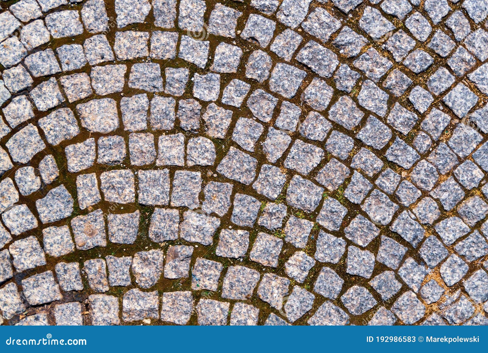 Curved Paving Texture Pattern Stock Image - Image of pave, shape: 192986583