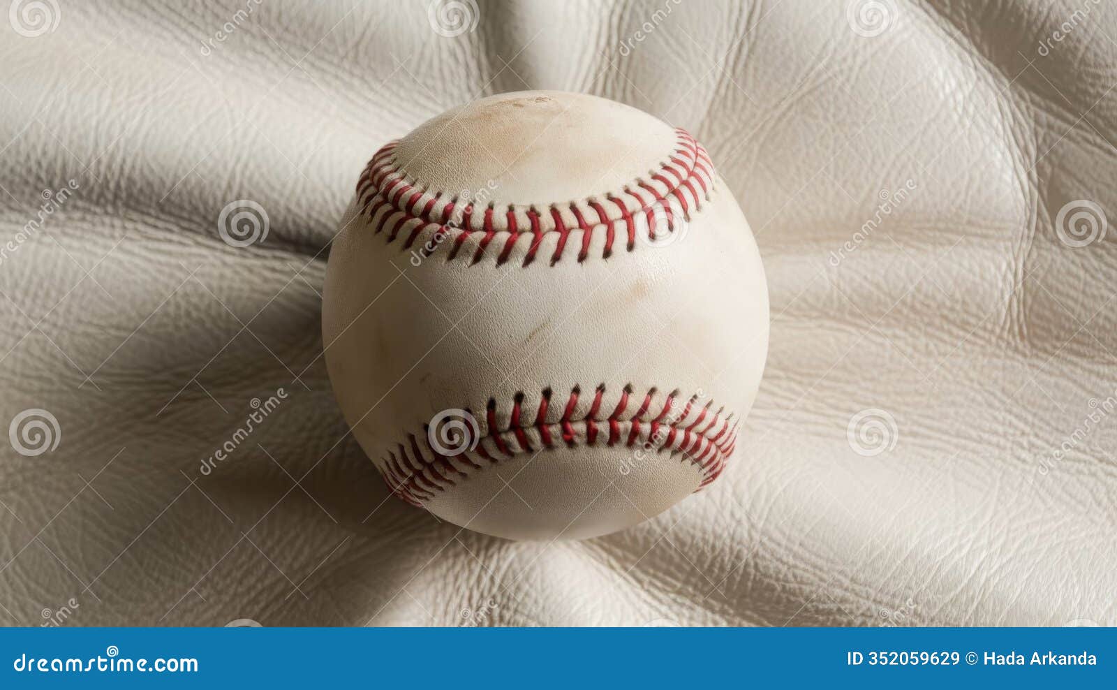 Curved Red Stitching on a Baseball with Space for Text on White Leather ...