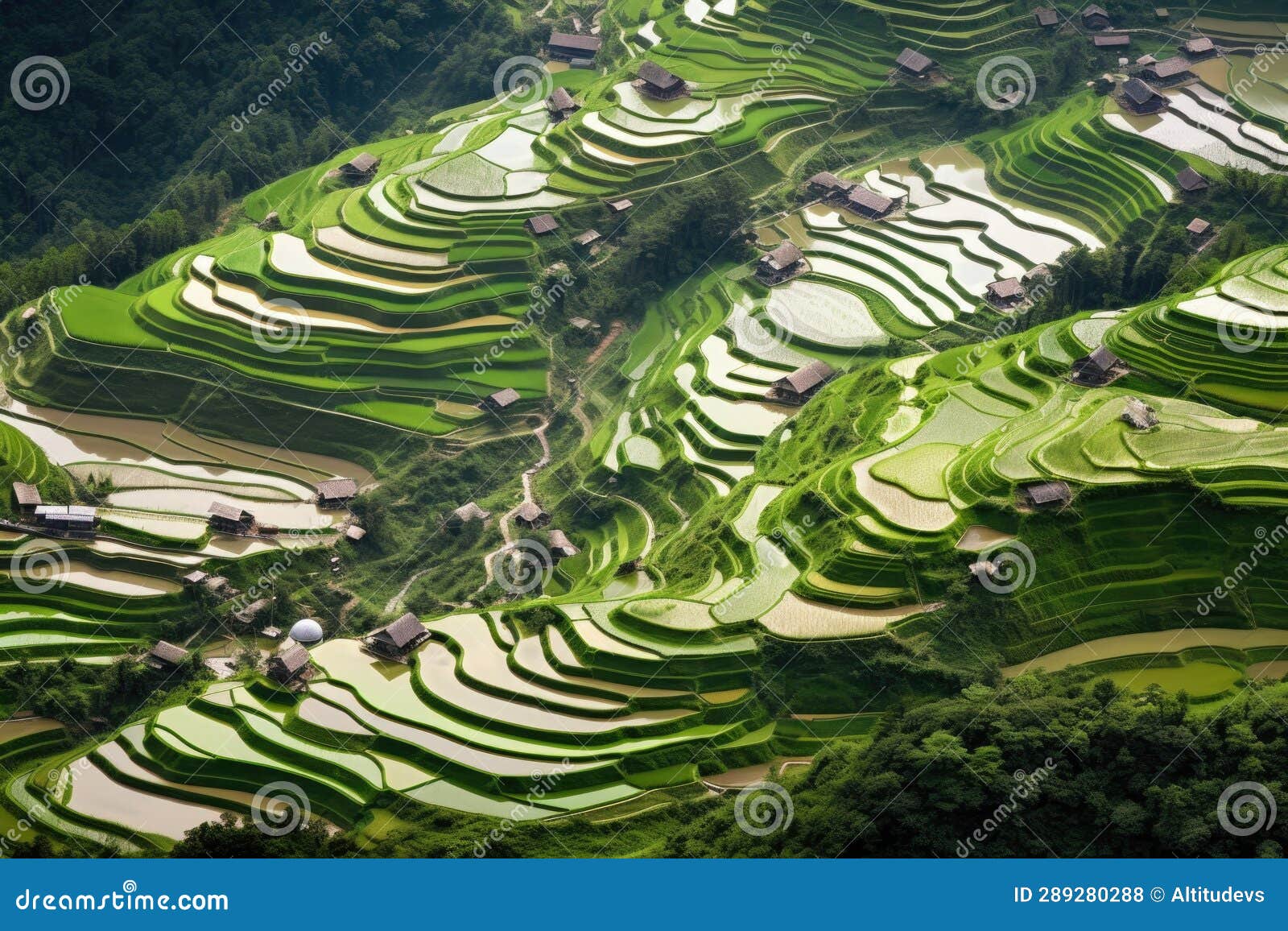 Curved Rice Terraces Creating Patterns from Above Stock Photo - Image ...