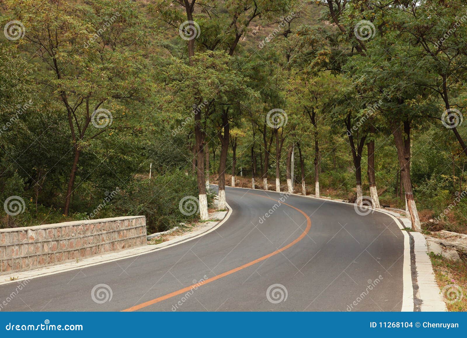 Curved road stock photo. Image of destinations, curve - 11268104