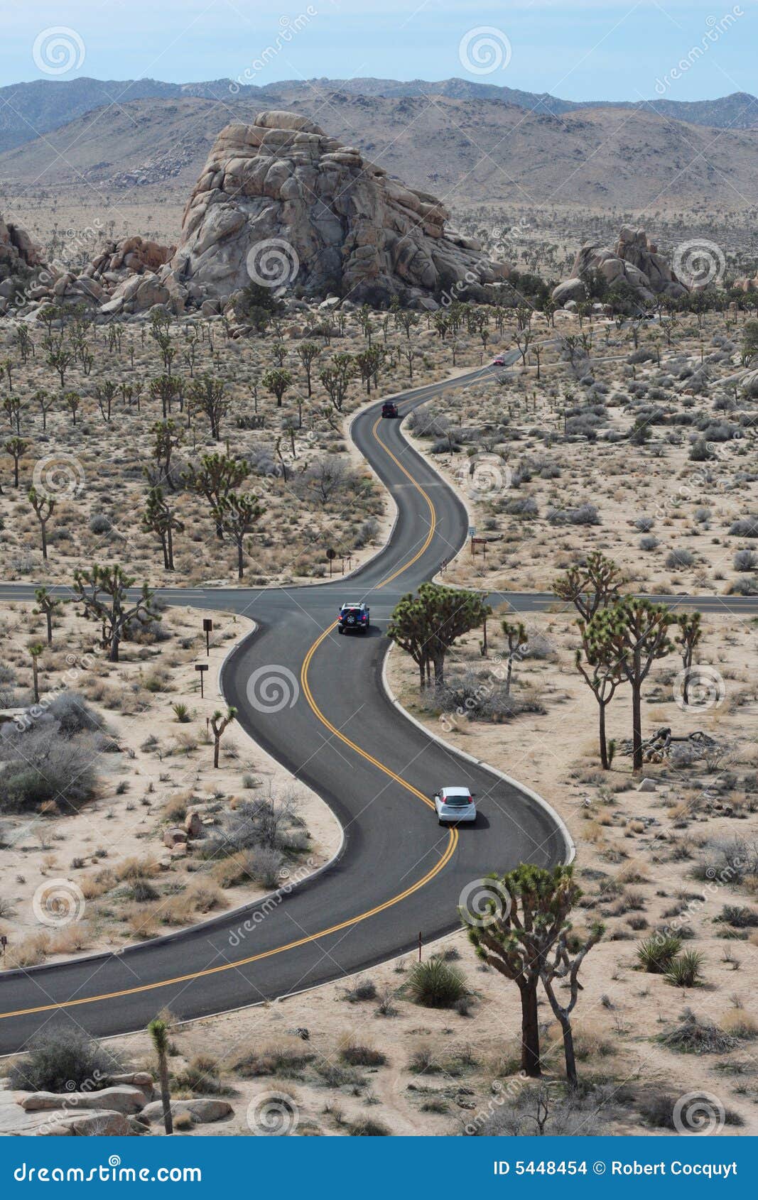 Curved road stock photo. Image of curve, desert, trees - 5448454