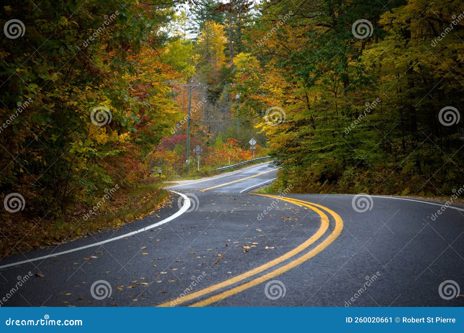 Curved Road in the Forest during Fall Season Stock Image - Image of ...