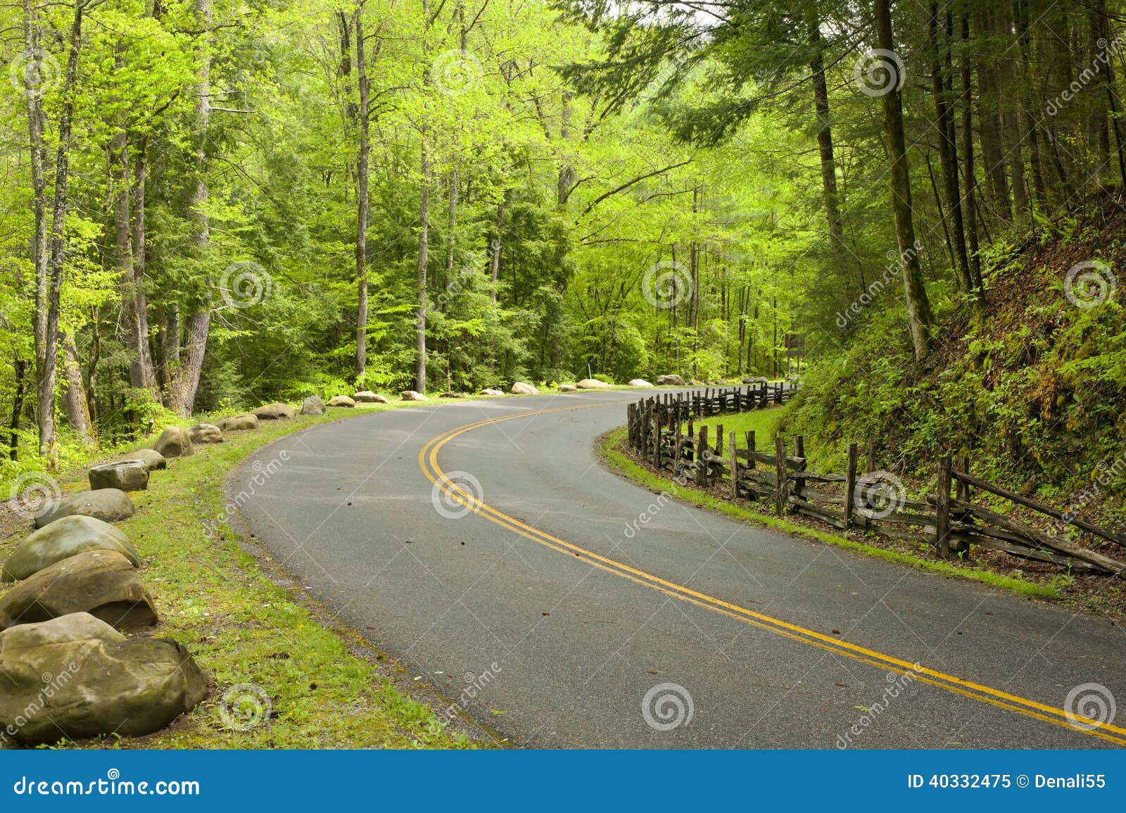 Curved road in forest stock image. Image of outdoor, paved - 40332475