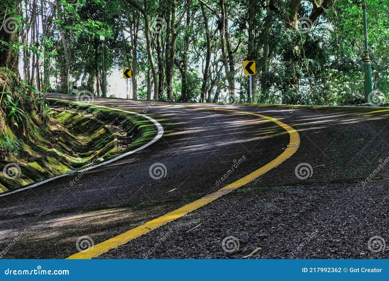 Curved Road Trees and Grass on Roadside Stock Photo - Image of asphalt ...