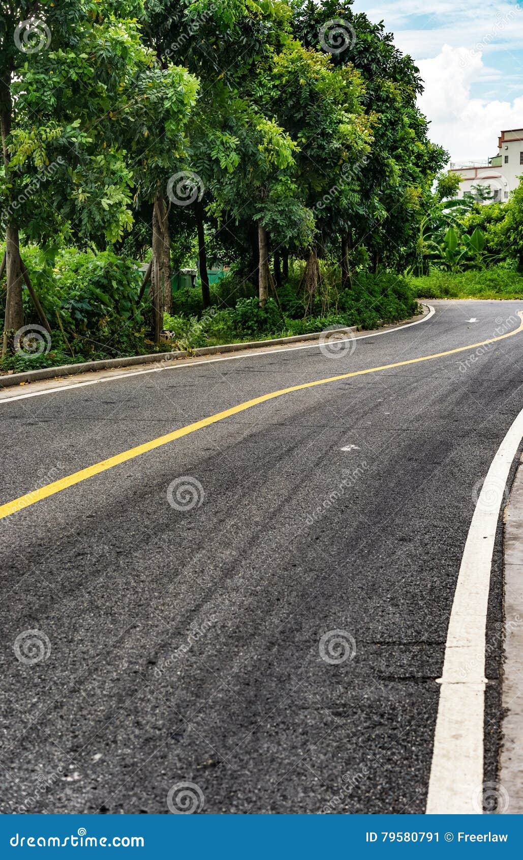Curved Road with Trees on the Side in a Country Stock Image - Image of ...