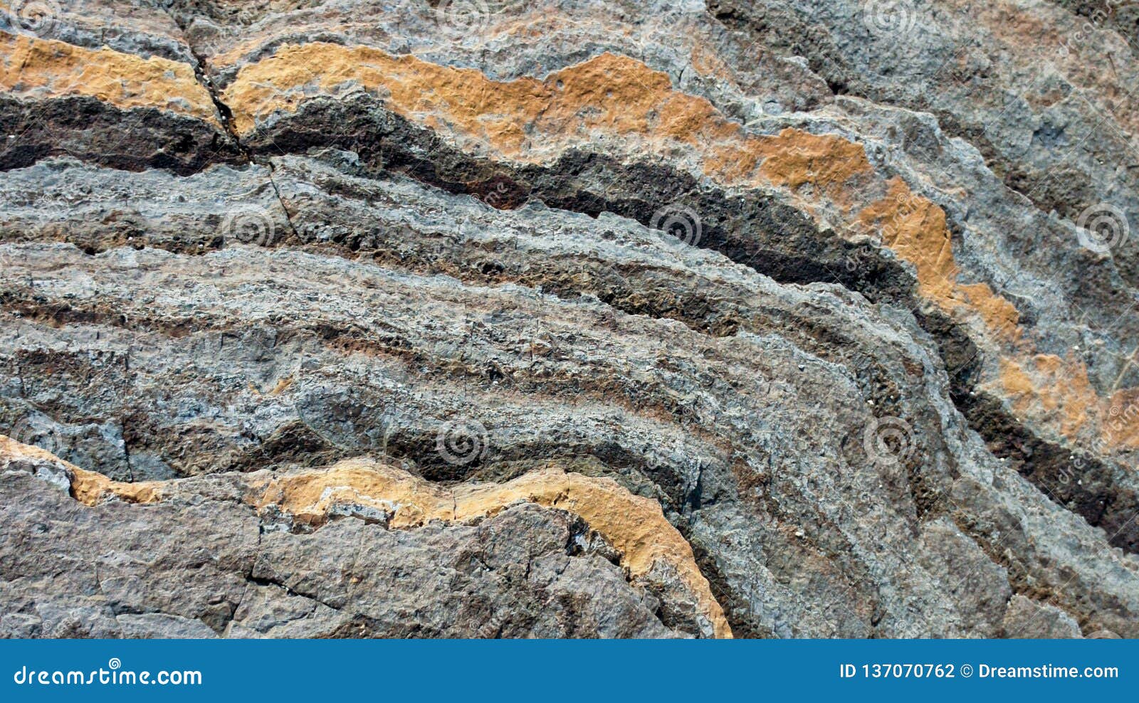 Curved rock patterns stock photo. Image of closeup, patterns - 137070762