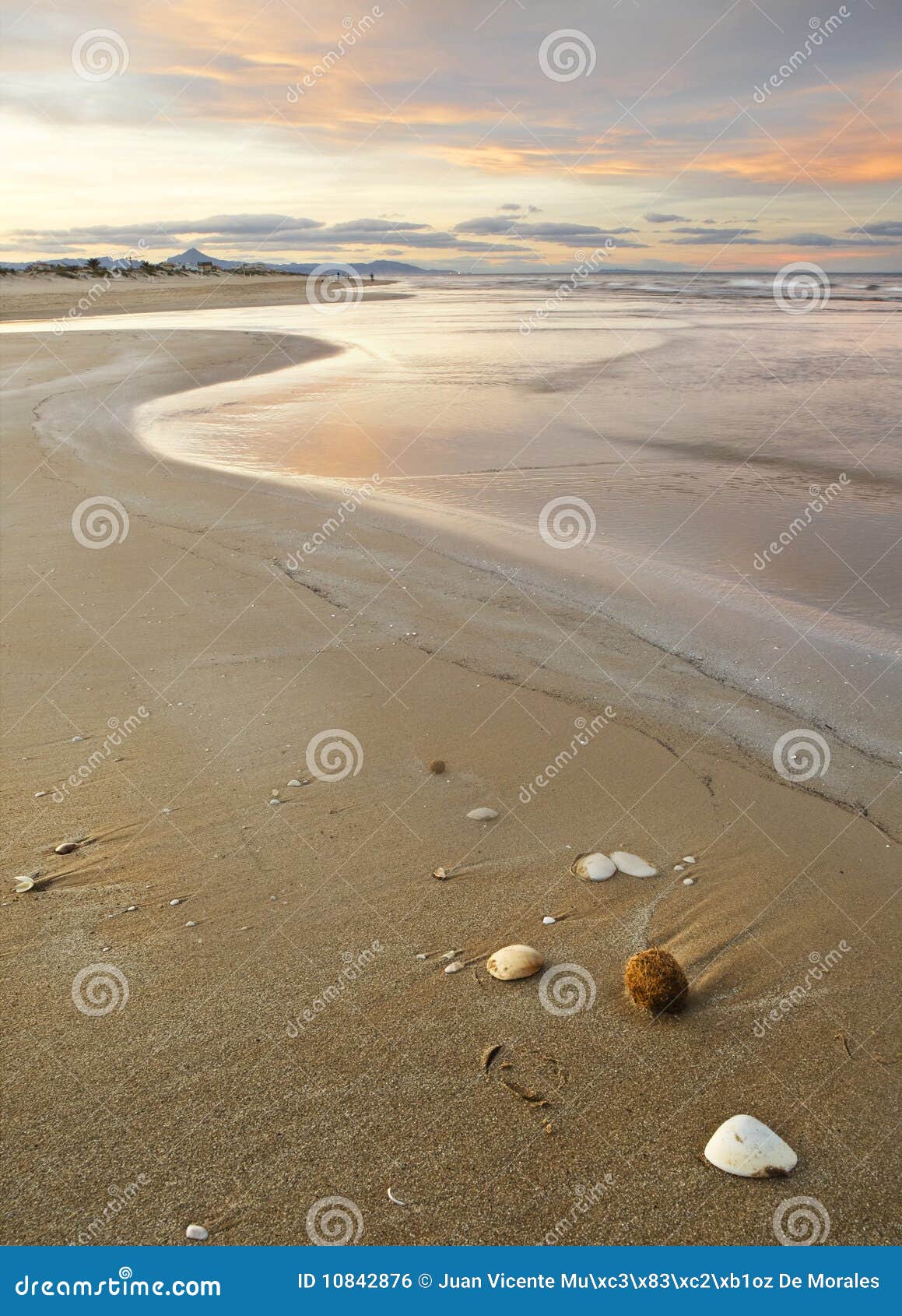 Curved Seashore stock photo. Image of curve, calm, wave - 10842876