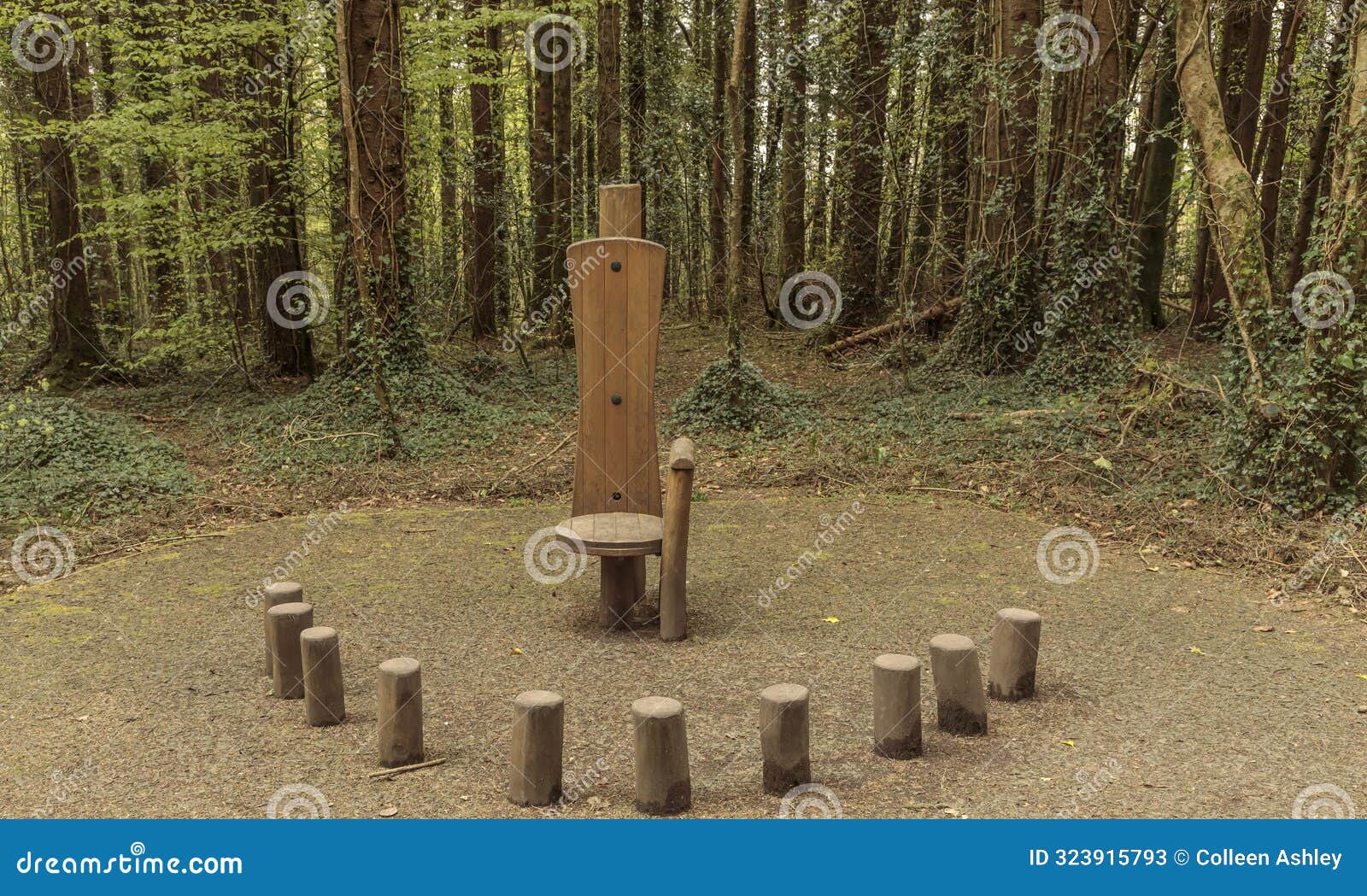 Curved Seating Area in a Forest Made of Tree Stumps Stock Image - Image ...