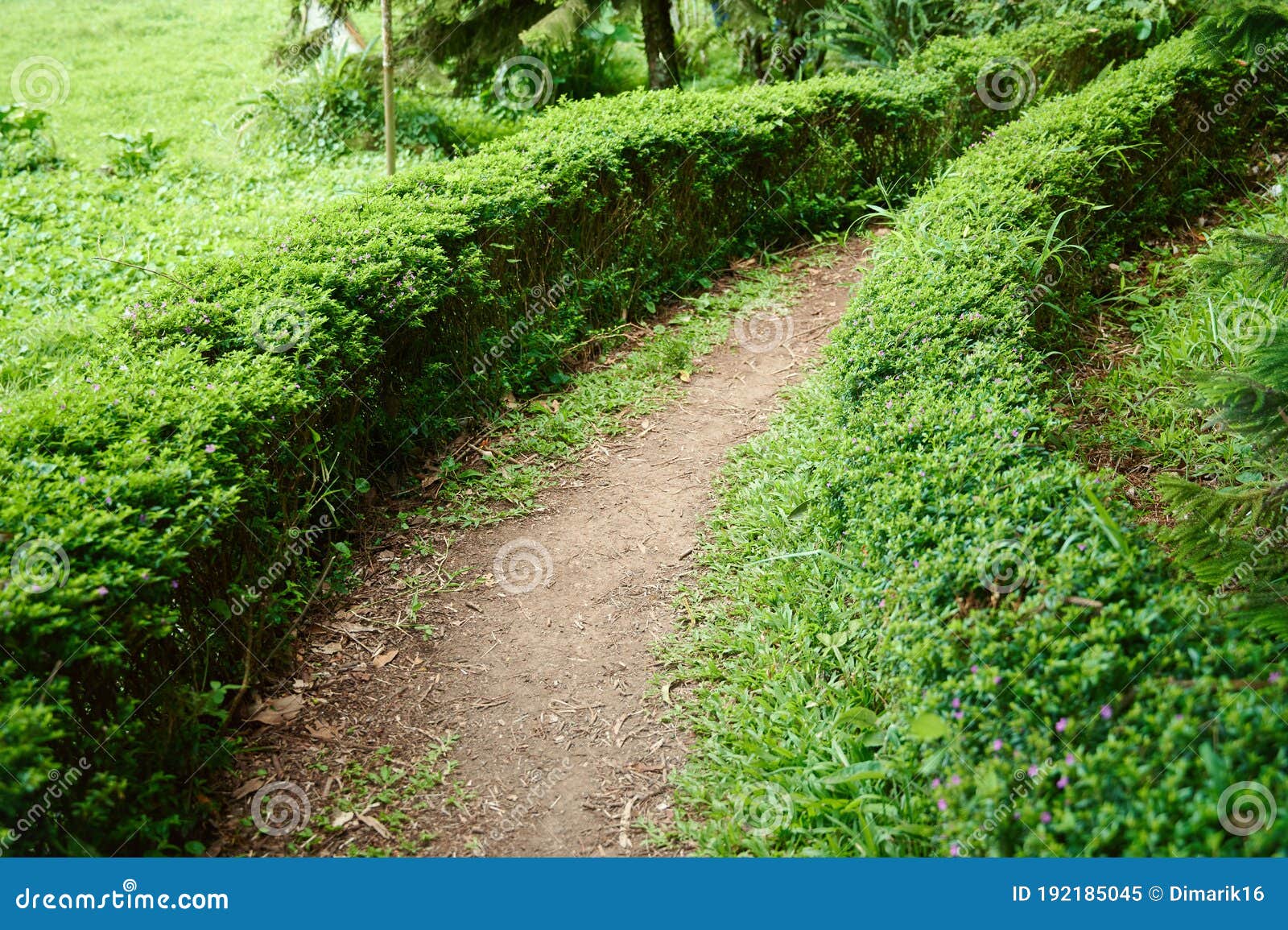 Curved small path way stock image. Image of path, green - 192185045