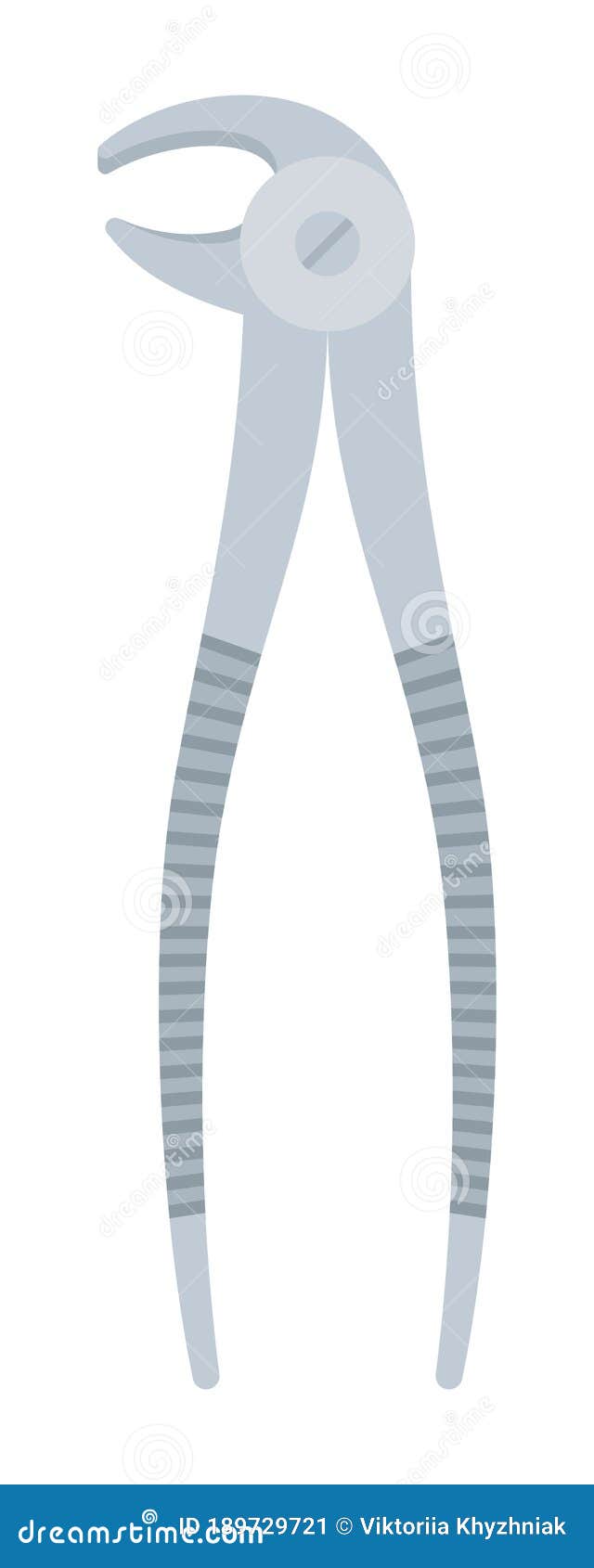 Curved Tooth Forceps Vector Icon Flat Stock Illustration - Illustration ...